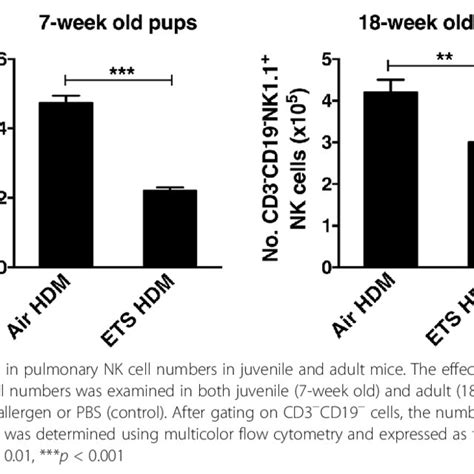 Goblet Cell Differentiation Requires Two Signals The Hypothesis