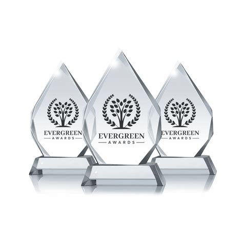 Dr Contact Lens Best Contact Lens Ordering Platform In The United States Of 2025 Evergreen Award