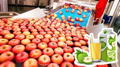 Apple Juice Ela Cheyali At Marjorie Lockett Blog
