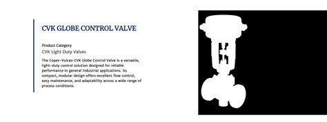 Cvk Globe Control Valve Celeros Flow Technology