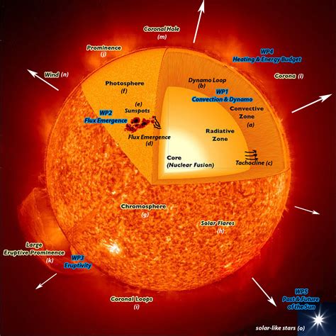Wholesun Project