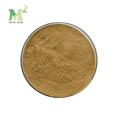 Strengthen The Immune System Phellinus Igniarius Powder 30