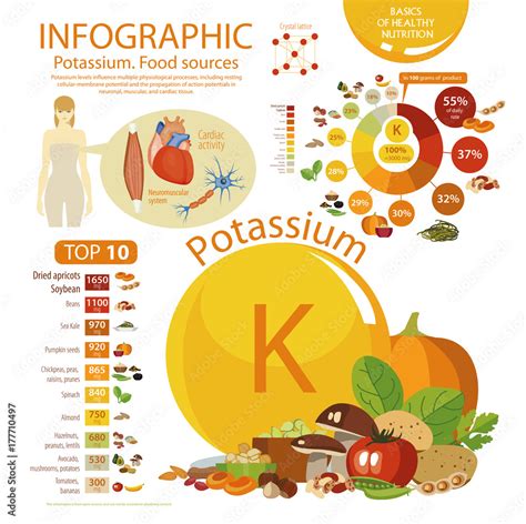 Infographics Potassium Food Sources Food With The Maximum Content