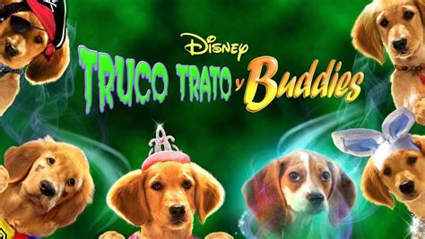 Die Besten Tierfilme Hunde Und Andere Tierfilme Itigic