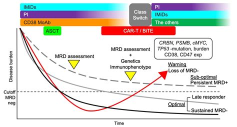 What Is Mrd In Multiple Myeloma At Dolores Bennett Blog