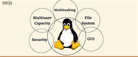 Day 5 Advanced Linux Shell Scripting For Devops Engineers With User Management Dev Community