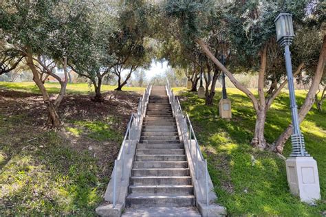 7 Fun Things To Do In The L A Gem That Is Barnsdall Art Park Los