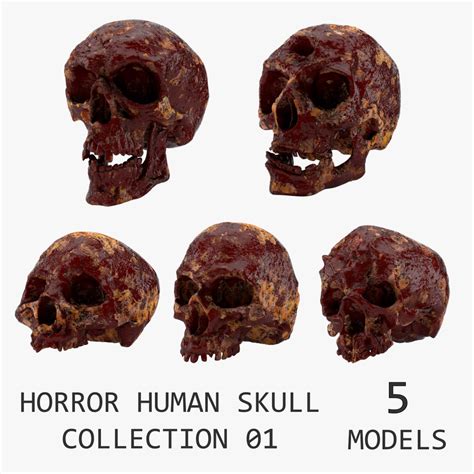 Horror Human Skull Collection 01 3d Model Turbosquid 2085777