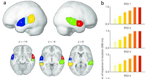 Functional Rois Revealed By A Parcellation Algorithm 29 A The Five