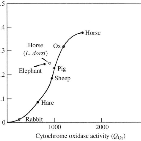 Pdf Myoglobin Function Reassessed