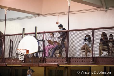 Lindblom H S “the Nest” The Visual Preservationist