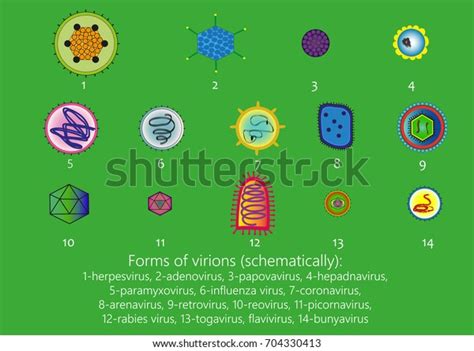 Hepadnavirus Over 1 Royalty Free Licensable Stock Vectors And Vector Art