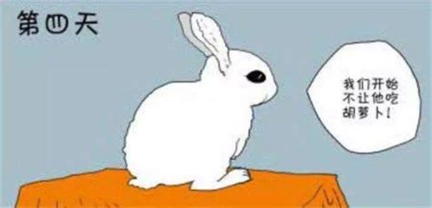 漫畫：博士你是不是想吃兔子肉了 每日頭條