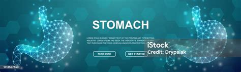 승진 깃발을 위한 위 다각형 상징 수평 로우 폴리 포스터 일러스트레이션 소화 시스템 장기 디자인 템플릿 일러스트 개념 3차원 형태에 대한 스톡 벡터 아트 및 기타 이미지