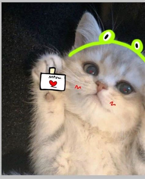 Metot 🔫😼 Diy Mini Album Mini Albums Cute