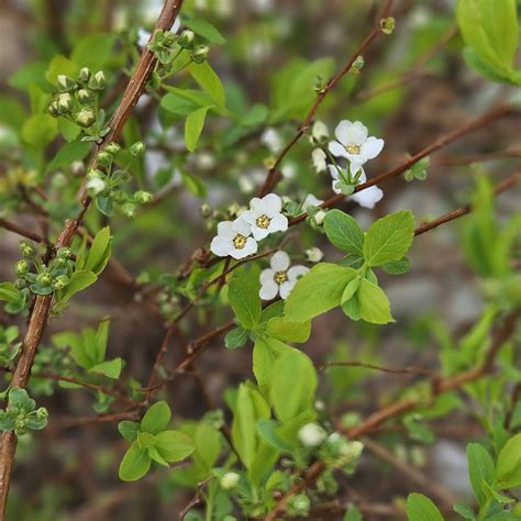 블라인드 못생긴사람들의 공감방 작은 꽃