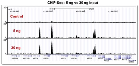 Chip Seq Library Prep Kit Fast 15 Hour Protocol Biodynami