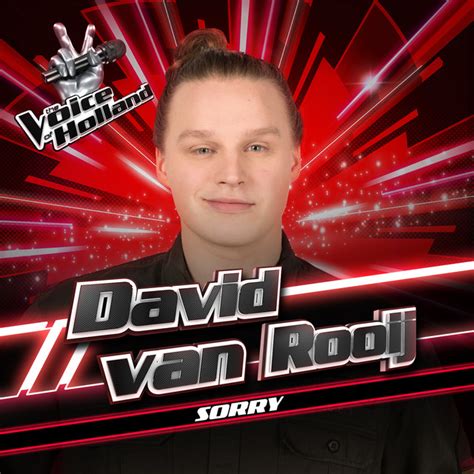 David Van Rooij Spotify