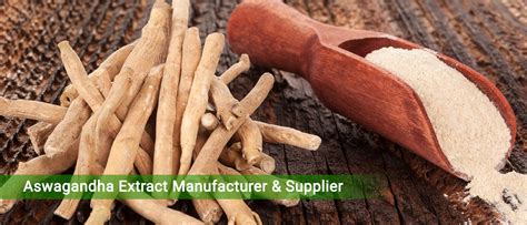 Ideal Natural Extract Curcumin Dry Extract Ganoderma Dry Extract