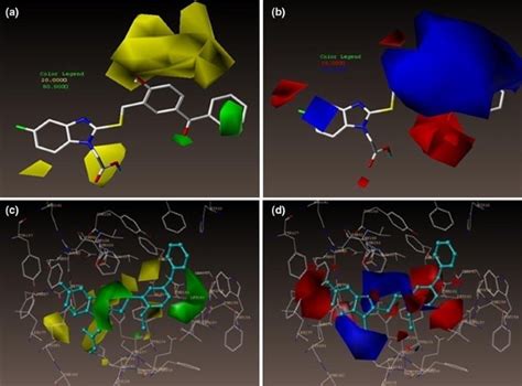 Structural Characterization Of Human Crth2 A Combined Homology