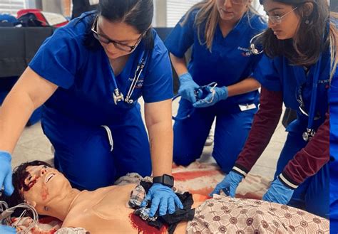 Master Essential Medical Skills Apprentice Doctor