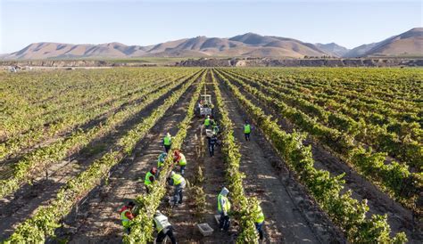 12 Sensational Things To Do In Santa Maria Ca