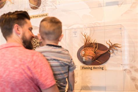 Everything You Ever Wanted To Know About Wonderworks Branson