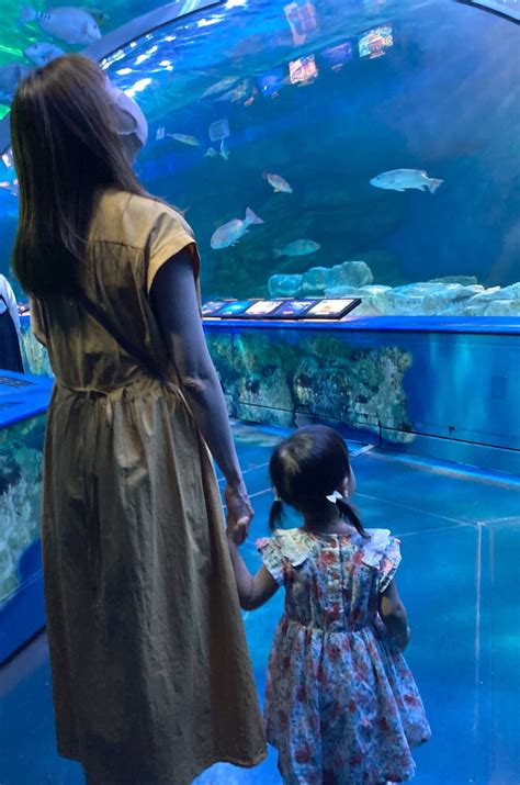 涼を求めて。 上原さくらの旦那オフィシャルブログ「さくら満開！上原さくらの旦那です」powered By Ameba