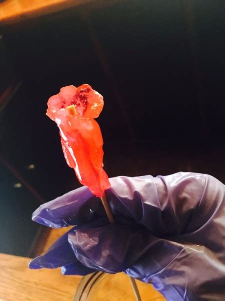 Making Hard Candy Rose Pops Thriftyfun