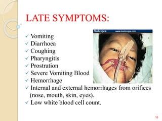 Ebola Virus Ppt Pptx
