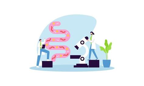 Microbiome Study Vector Art Icons And Graphics For Free Download