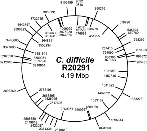 Genetic Map Of Mariner Transposon Insertions Sixty Independent