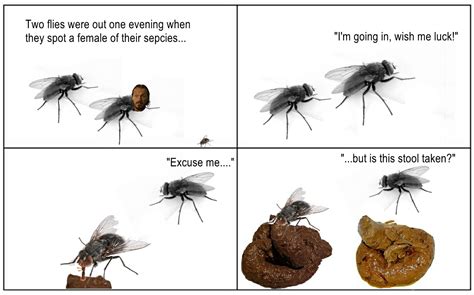 A True Shit Post Meme By Pipelinepatrick Memedroid