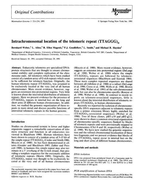 Pdf Intrachromosomal Location Of The Telomeric Repeat Ttaggg