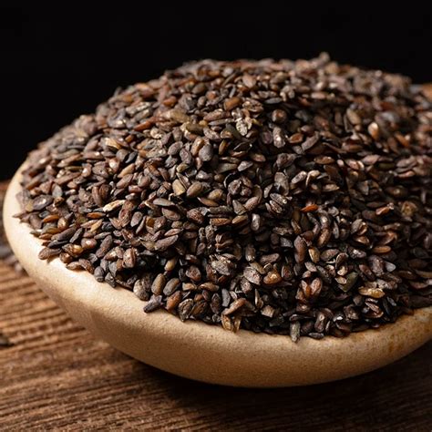 寻百草车前子中药材车前籽种中药车前草野生车钱子500g克非同仁堂 淘宝网 花瓣网