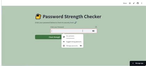 Python Cybersecurity Streamlit Passwordsecurity Coding Bushra Turk