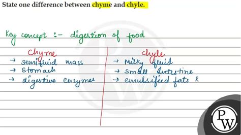Chyme Chyle Giải Thích Phân Biệt Và Vai Trò Trong Tiêu Hóa