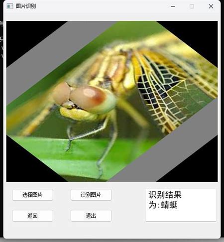 基于python 深度学习CNN pytorch训练识别蝴蝶 蚂蚱等昆虫 含数据集 pyqt界面 pytorch害虫数据集 CSDN博客