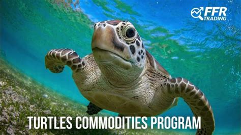 Turtles Commodities Program Ffr Trading