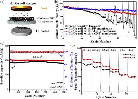 A Cell Configuration Of A Li Cu Cell B Cyclic Performance Of A