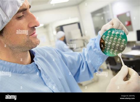 Watching Silicon Wafer Pecvd System For Deposition Of Passivation