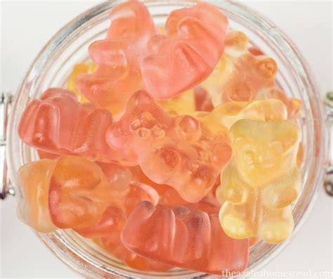 Homemade Fruit Gummies