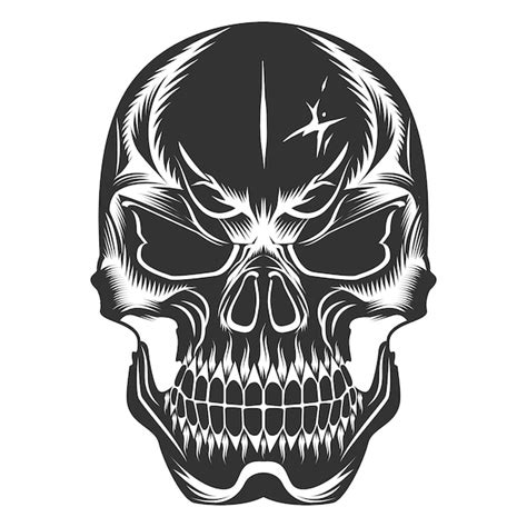 Premium Vector Skull Design And Skull Vector Art