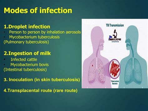 Tb Pathogenesis And Laboratory Diagnosis Pptx