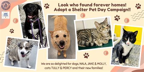 Adopt a Shelter Pet Day – Ocean County Health Department