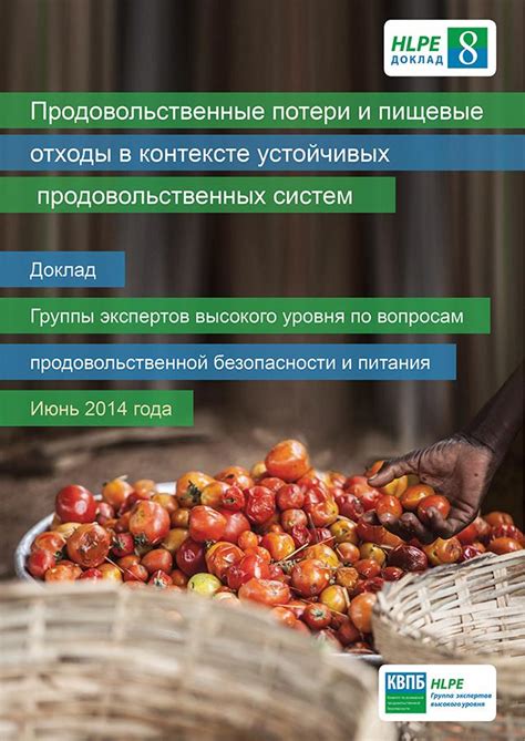 Hlpe Report 8 Russian And Chinese Translations