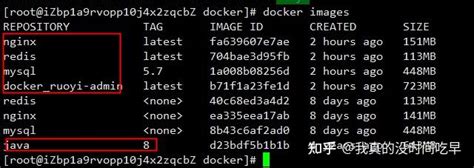 linux环境docker部署ruoyi vue若依总结 知乎