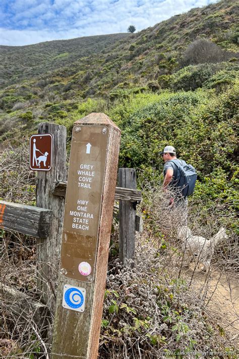 7 Hiking Trails In The Bay Area Where To Find Fun Bay Area Hikes