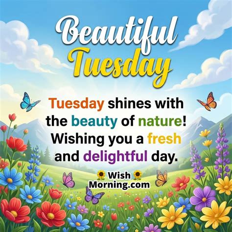 Happy Tuesday Messages To Kickstart The Week With Positivity Wish Morning