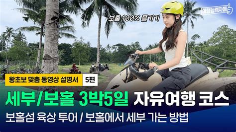 🇵🇭세부막탄 자유여행 5편2023 보홀 여행이 처음이라면 내돈내산 보홀투어 세부여행세부자유여행세부여행브이로그보홀여행보홀브이로그보홀일일투어광고포함